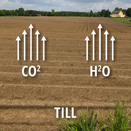 Sustainability - Benexia